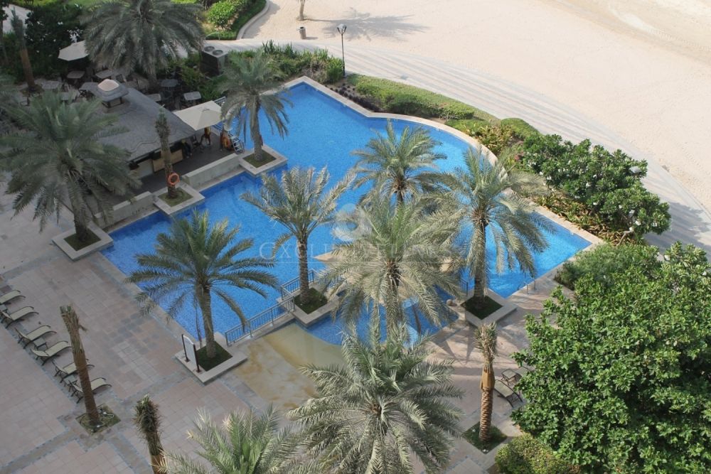 Al Basri | Exclusive Links